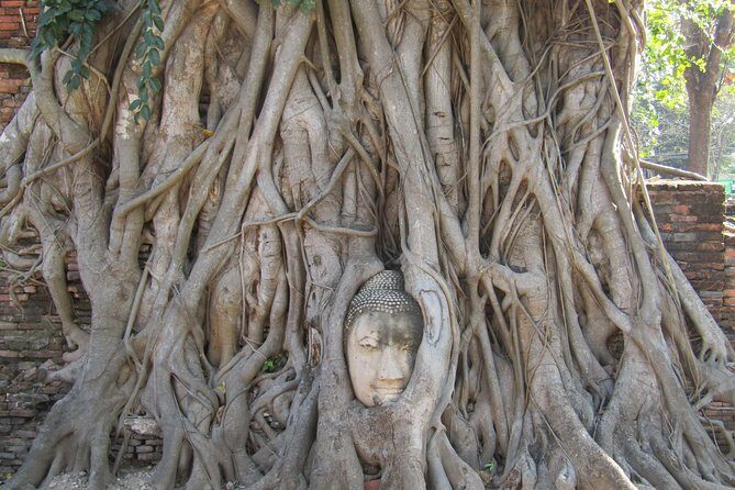 Amazing Ayutthaya Day Trip from Bangkok - FAQ