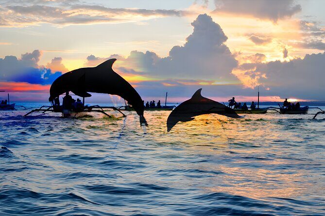 Amazing Bali Dolphin Watching Trip Experience - FAQs