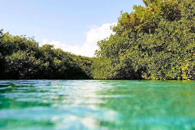 Amazing beginner dive in Tulum cenote (or refresher dive) - Value for money