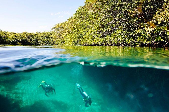 Amazing beginner dive in Tulum cenote (or refresher dive) - The real traveler perspective