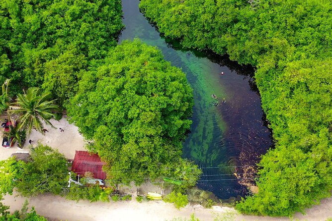 Amazing beginner dive in Tulum cenote (or refresher dive) - Who this tour is best suited for