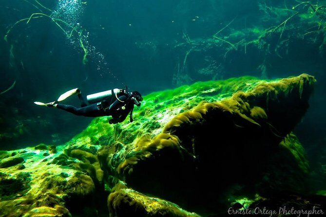 Amazing beginner dive in Tulum cenote (or refresher dive) - Final thoughts