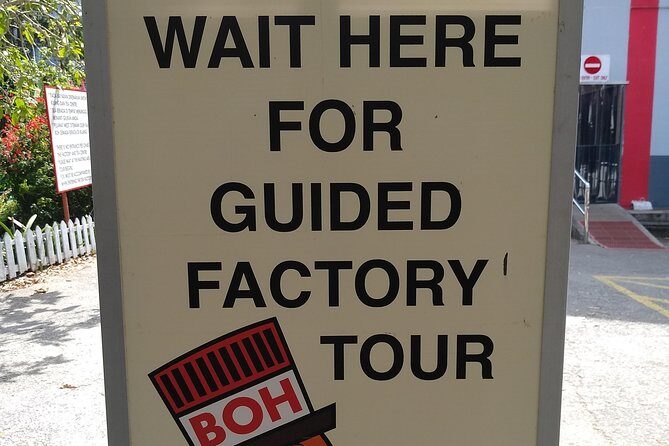 Amazing Cameron Highland Day Tour From Kuala Lumpur - Butterfly Garden: Nature’s Colorful Showcase