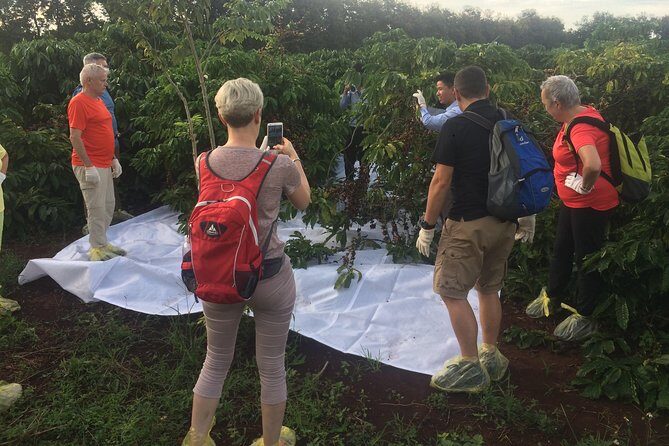 Amazing Coffee full-day tour in Buon Ma Thuot - Daklak - Lunch and Rest: Recharging for More
