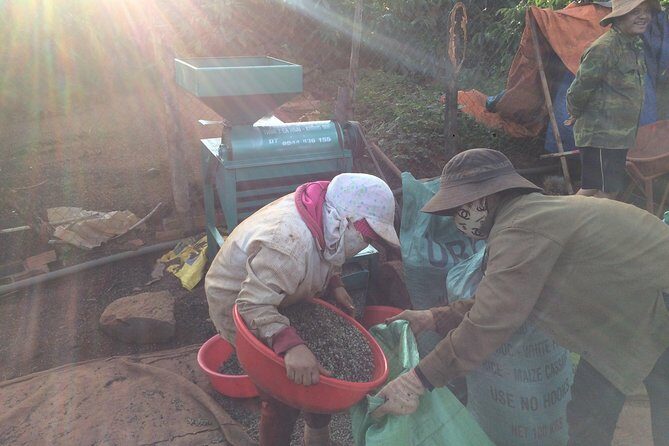 Amazing Coffee full-day tour in Buon Ma Thuot - Daklak - What’s the Overall Value?