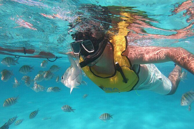 Amazing Cozumel Buggy Adventure Around the Island - FAQ