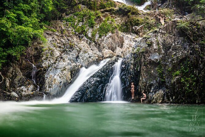 Amazing Daintree Rainforest Tour Waterfall Hike, Lunch, Swim & Crocodile Cruise - Who Would Love This Tour?