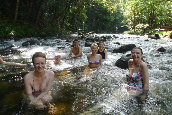 Amazing Daintree Rainforest Tour Waterfall Hike, Lunch, Swim & Crocodile Cruise - FAQs
