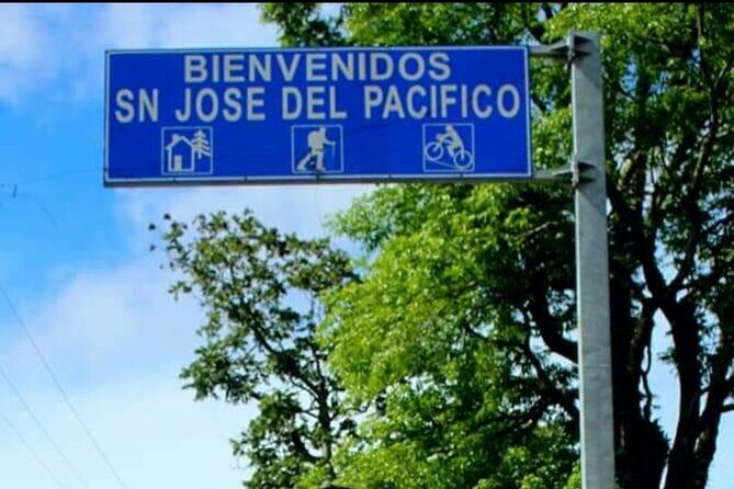 Amazing experience in the mountain of San Jose del Pacifico - A detailed look at the San José del Pacifico tour