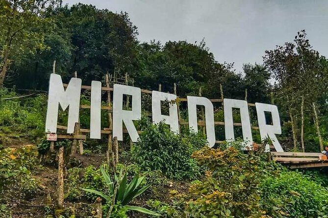 Amazing experience in the mountain of San Jose del Pacifico - FAQ