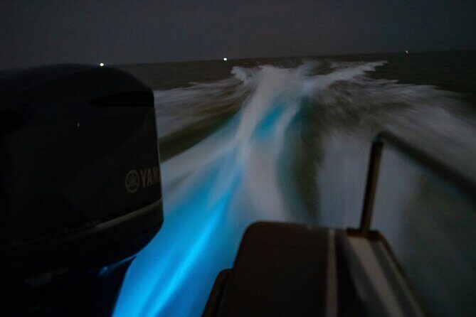 Amazing Fireflies With Blue Tears Watching & Kuala Selangor Tour - The Itinerary Breakdown