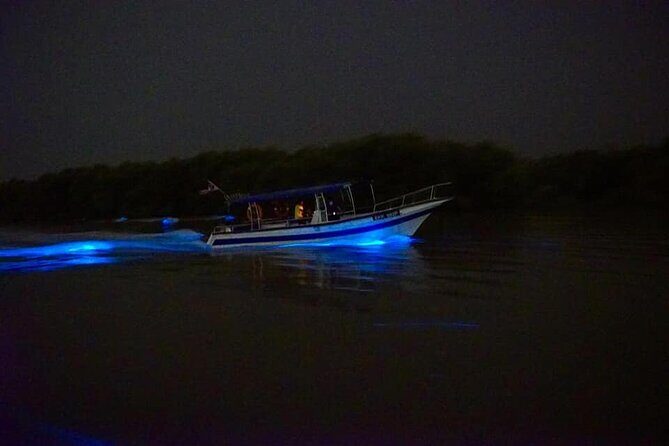 Amazing Fireflies With Blue Tears Watching & Kuala Selangor Tour - Frequently Asked Questions
