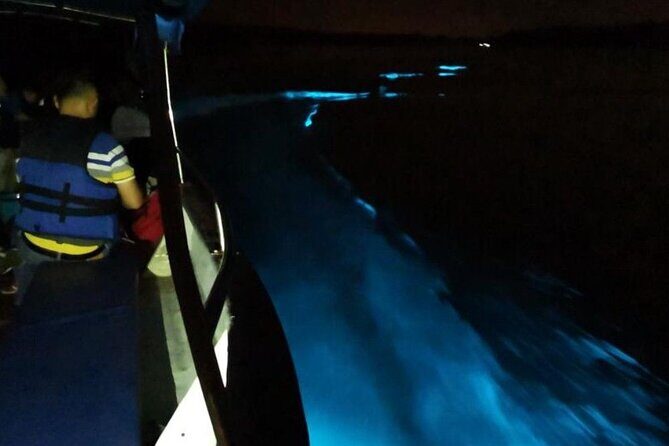 Amazing Fireflies With Blue Tears Watching & Kuala Selangor Tour - Final Words