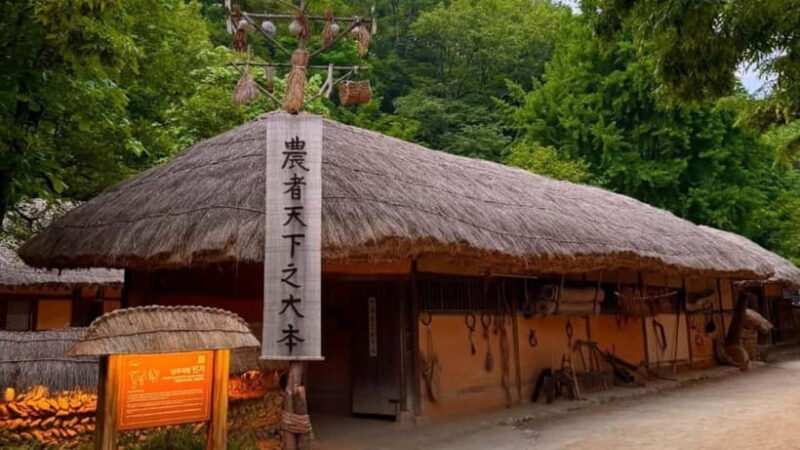 Amazing Gyeonggi: Tour with Driver and Premium Van - Practicalities and Tips