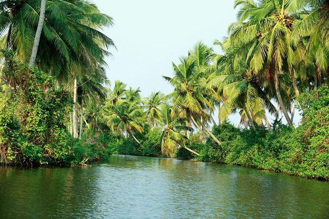 Amazing Half priced private guided tour in Kochi ! - FAQs