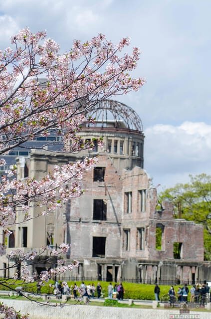 Amazing Hiroshima: Private City Tour with a Local Guide - An In-Depth Look at the Hiroshima and Miyajima Tour