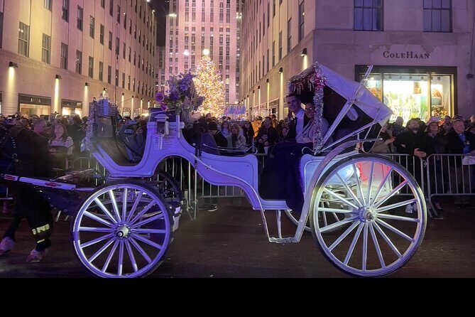 Amazing Horse and Carriage Rockefeller and Christmas lights tour - An In-Depth Look at the Experience