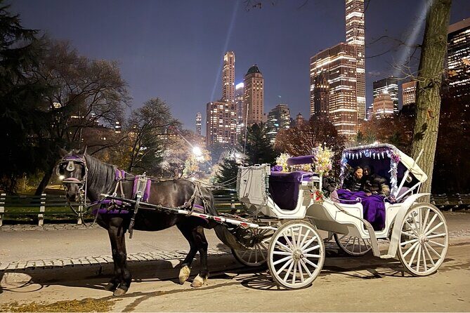 Amazing Horse and Carriage Rockefeller and Christmas lights tour - Who Will Love This Tour?