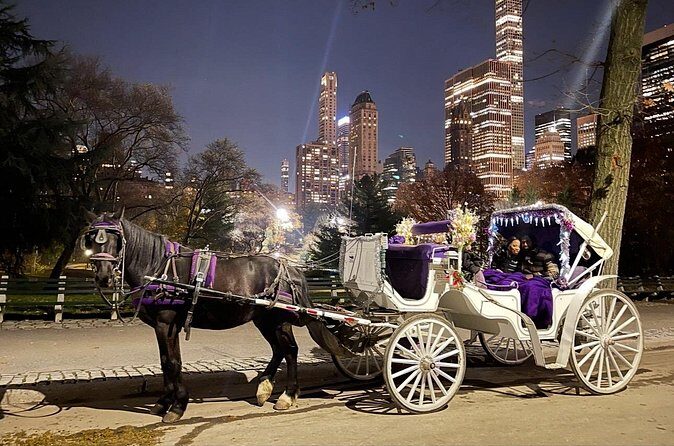 Amazing Horse and Carriage Rockefeller and Christmas lights tour - Final Thoughts
