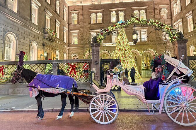 Amazing Horse and Carriage Rockefeller and Christmas lights tour - Frequently Asked Questions