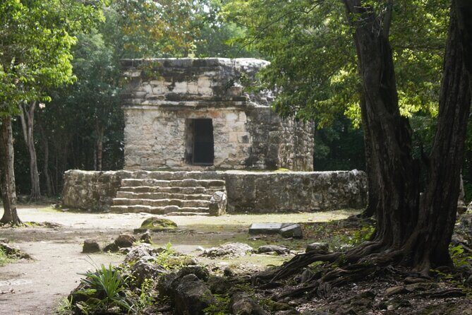 Amazing Jeep Tour Visit Punta Sur Park and San Gervasio Ruins - Who Will Be happiest With This Tour?