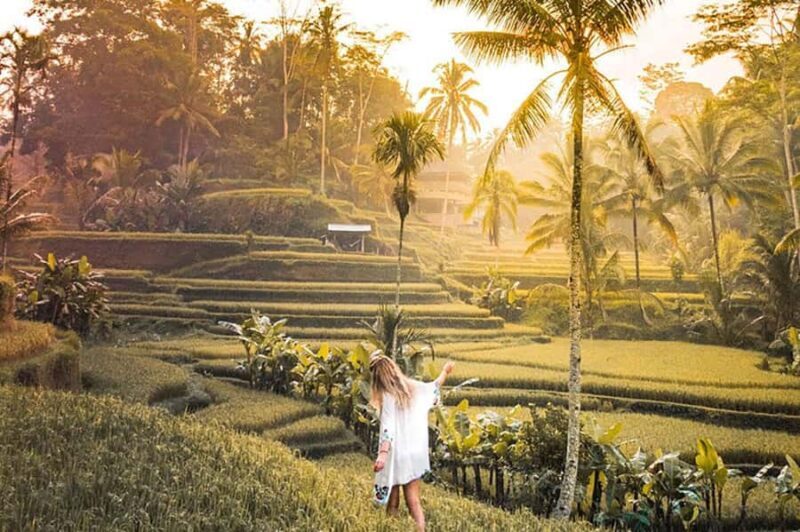 Amazing Kintamani Ubud Tour with Overlook Volcano View - Exploring Bali in a Short Day