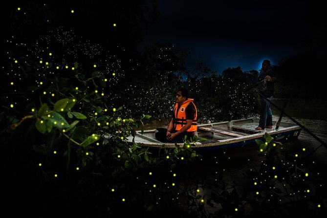 Amazing Kuala Selangor Fireflies Tour - Sic - Who Will Love This Tour?