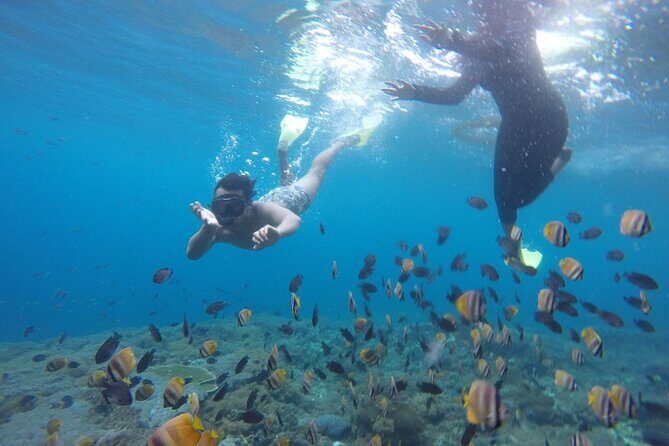 Amazing Nusa Penida Snorkeling Experience - What Makes This Tour Special?