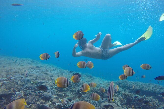 Amazing Nusa Penida Snorkeling Experience - Authentic Experiences and Traveler Insights