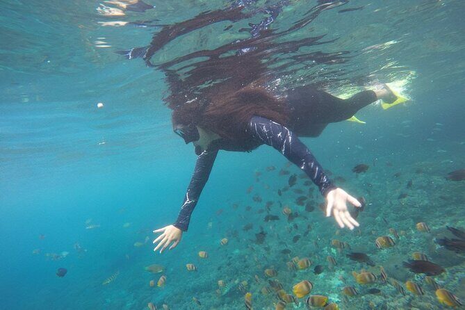 Amazing Nusa Penida Snorkeling Experience - Price Versus Value