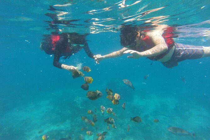 Amazing Nusa Penida Snorkeling Experience - Who Is This Tour Best For?