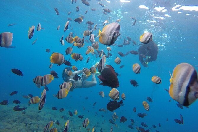 Amazing Nusa Penida Snorkeling Experience - Final Thoughts