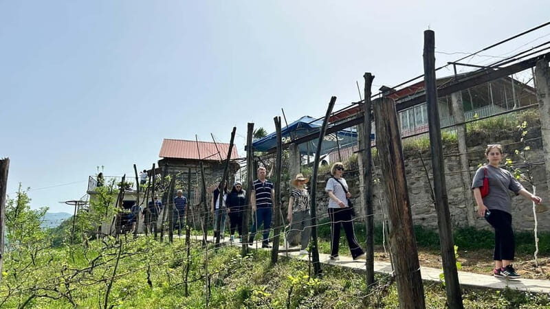 Amazing one-day trip in Lechkhumi from Kutaisi - FAQ