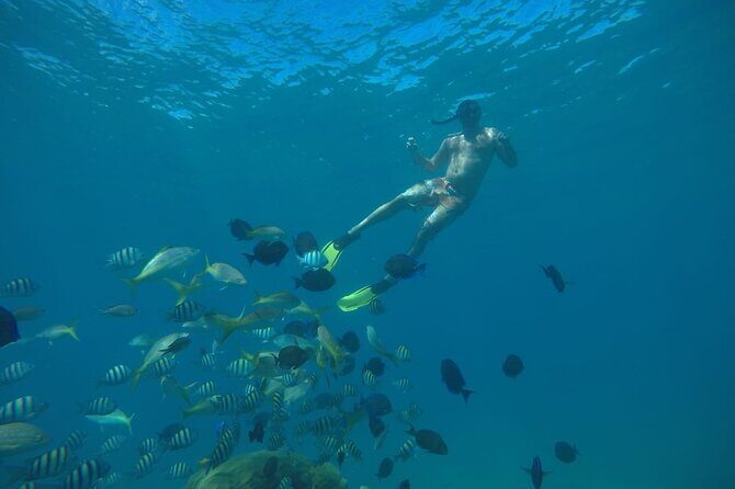 Amazing Paradise Island + Snorkeling-Mangrove Tour & Locale Food. - The Sum Up: Who Will Love This Tour?