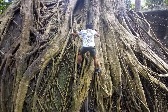 Amazing Phu Quoc Tien Son Dinh Eco-Trekking Tour - Summary of Benefits and Who It’s Best For