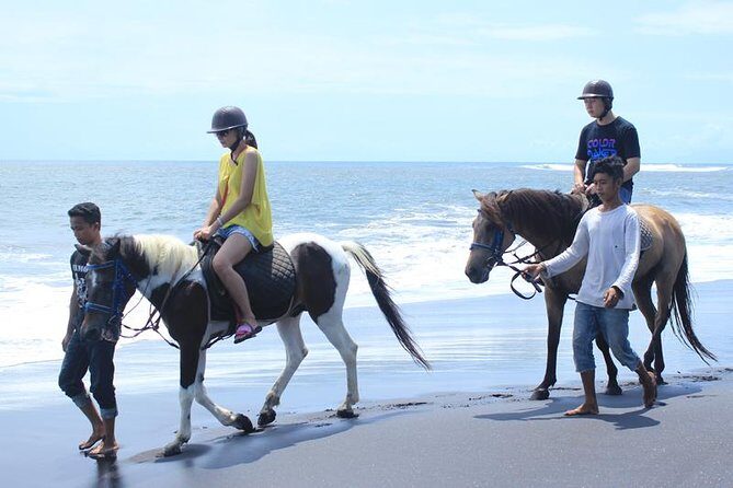 Amazing Private Tour: Horse riding-Kintamani volcano-Tegalalang-Tirta empul - Introduction: Hit the Highlights of Bali in a Day