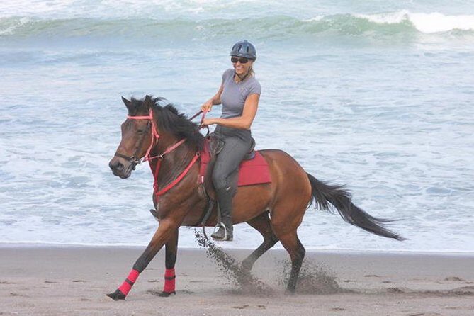 Amazing Private Tour: Horse riding-Kintamani volcano-Tegalalang-Tirta empul - Practical Details: Making the Most of the Tour