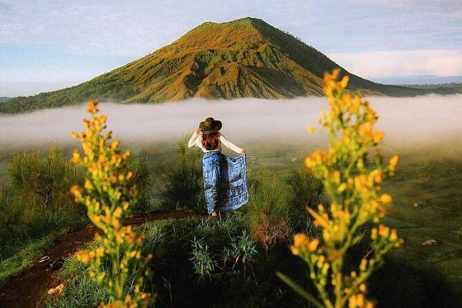 Amazing Private Tour: Horse riding-Kintamani volcano-Tegalalang-Tirta empul - Final Thoughts: Who Will Love This Tour?