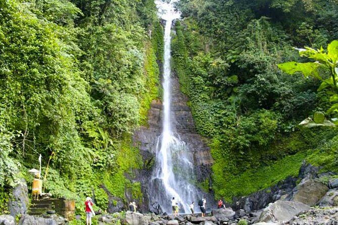 Amazing Private Tours: Dolphins Lovina and Gitgit Waterfall include Lunch - FAQs