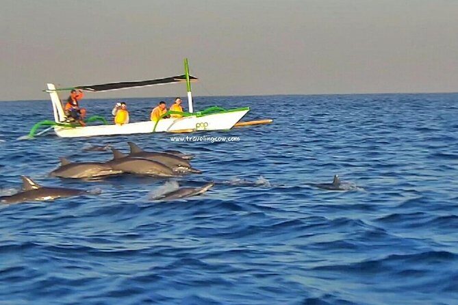 Amazing Private Tours: Dolphins Lovina and Gitgit Waterfall include Lunch - Final Thoughts