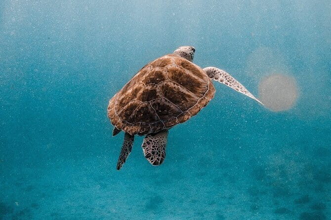 Amazing Similan Day Trip by Luxury Catamaran Yacht - Setting Sail from Phuket: First impressions of the tour