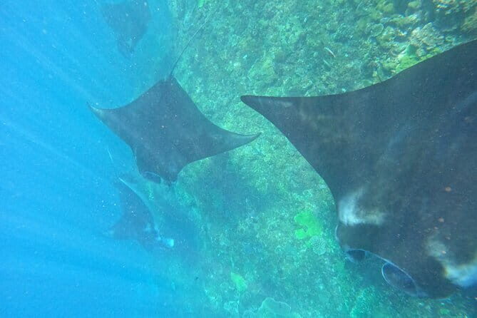 Amazing Snorkeling at Blue Lagoon - The Experience Provider and Booking Details