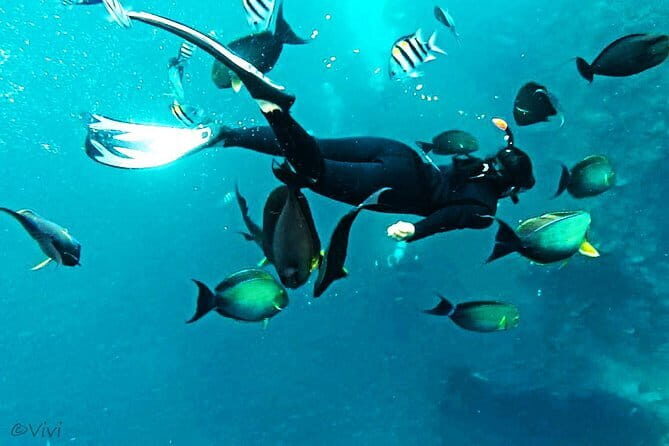 Amazing Snorkeling at Blue Lagoon - The Sum Up