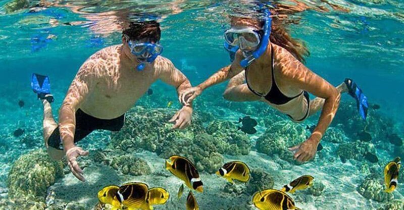 Amazing Snorkeling at Cham Island - An Overview of the Tour Experience