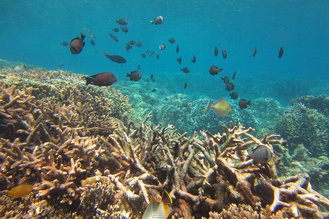 Amazing Snorkeling at Mun Island ( Group Tour ) - Final Word