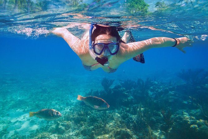 Amazing Snorkeling Experience in Cancun - What’s Included and What’s Not