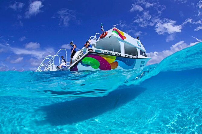 Amazing snorkeling full-day tour to Cozumel Cielo Starfish Reef - The Sum Up