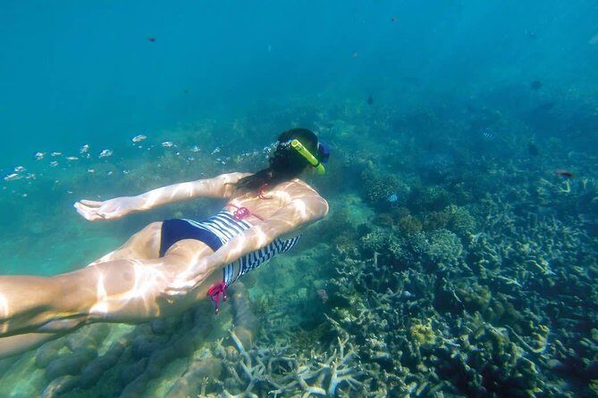 Amazing Snorkeling in Bali - Amazing Snorkeling in Bali: A Detailed Review