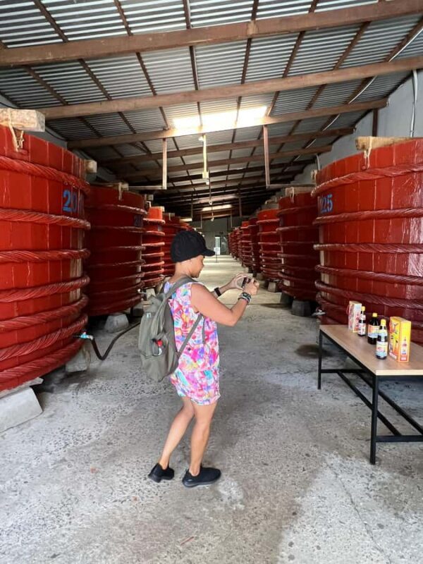 Amazing South Island Phu Quoc full day tour - Key Points