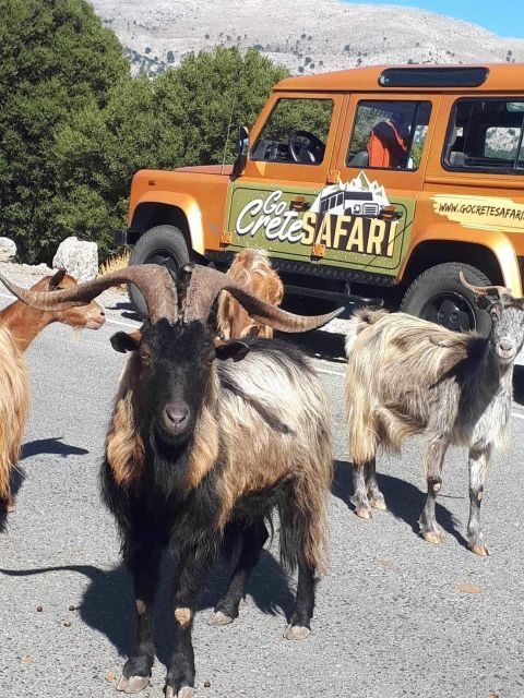 Amazing Sunset Safari Route with Dinner - A Closer Look at the Sunset Safari Route